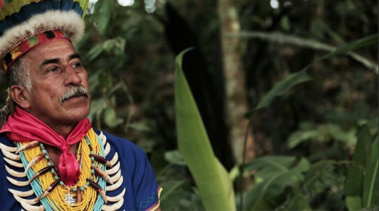 Retiro Conocimiento Ancestral / Ayahuasca / Yage – Viento Solar