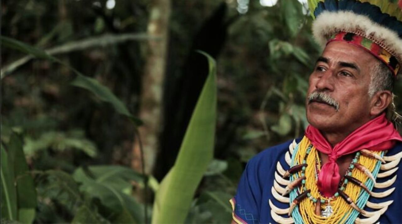 Retiro Conocimiento Ancestral / Ayahuasca / Yage – Viento Solar